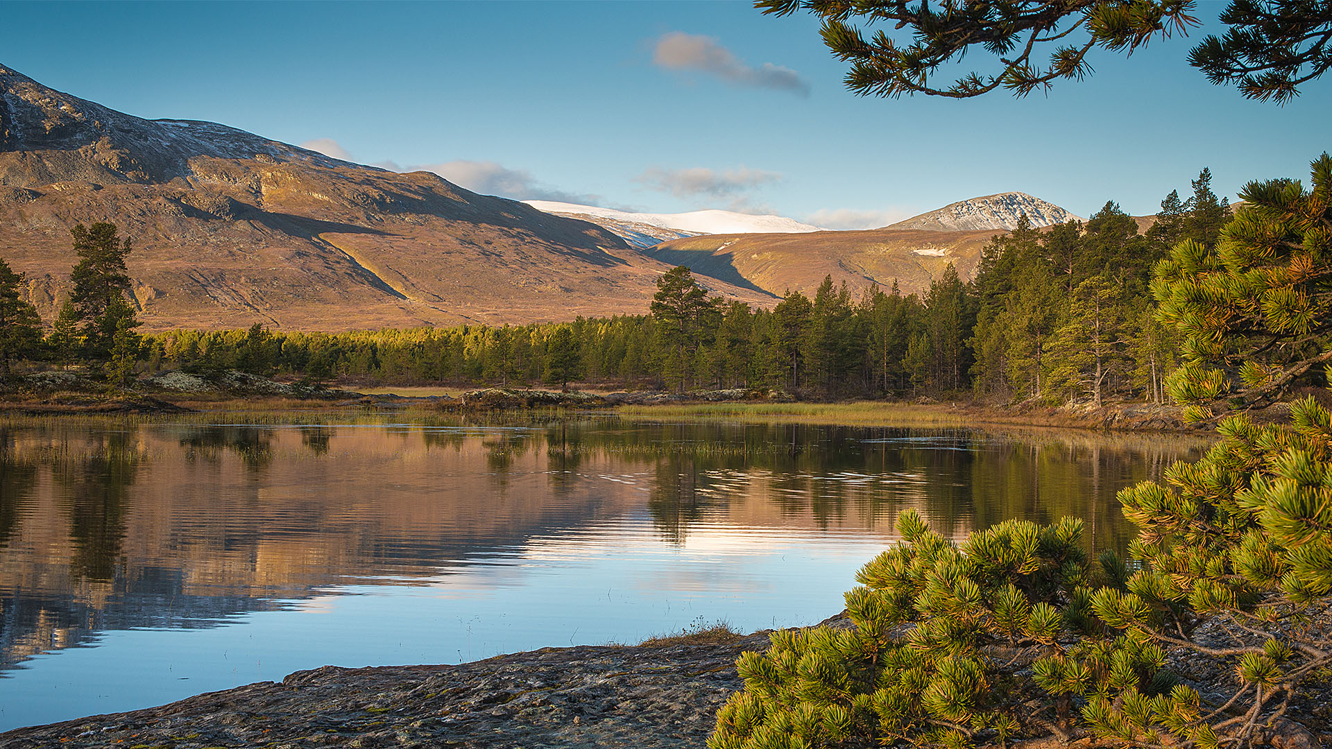 VEO implements its first central control room project in Norway - VEO Oy